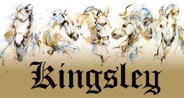 Kingsley - Horseworld Rideudstyr
